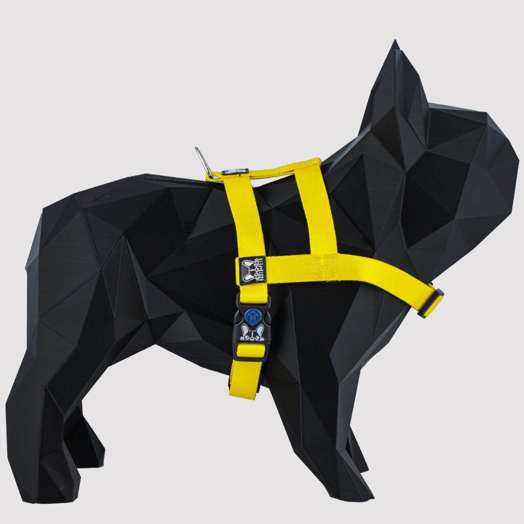 Kit Easy Walk Colors | Boots & Pets